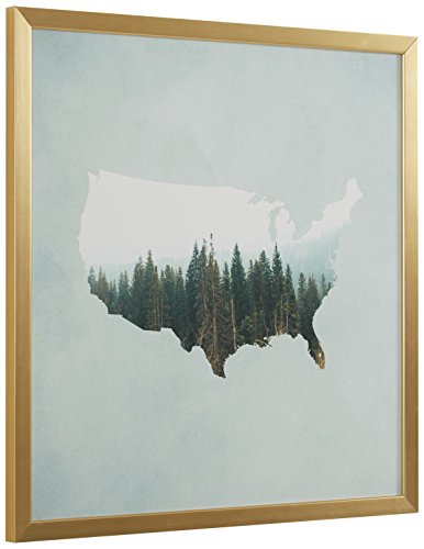Amazon Brand – Rivet American Forest Map Wall Art Print in Gold Wood Frame, 12" x 12"