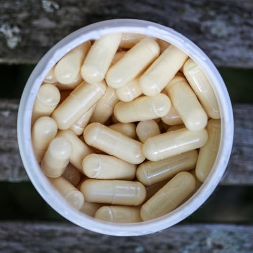 Omega-3 Fish Oil for Dogs by Pawsomely Healthy - High in EPA, DHA - Allergies, Itching, Shedding - Supports Immune System, Skin, Coat, Heart, Joints - 90 Powder Capsules