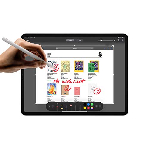 2020 Apple iPad Pro 2nd Gen (11 inch, Wi-Fi + Cellular, 1TB) Silver(Renewed)
