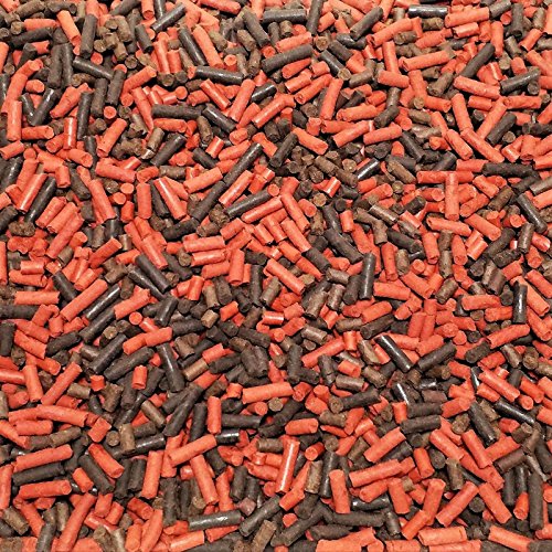 Aquatic Foods Inc. S & B Blackworm & Beef Heart Mix Bit/Sticks, for Discus, Cichlids, Carnivores and More.1/4-lb
