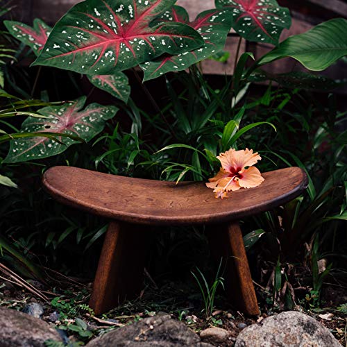 BLUECONY Meditation Bench IKUKO Basic, Preassembled Version, Wooden Kneeling Ergonomic Seiza - Solid Wood Dark Walnut, High Height (8" or 20 cm)