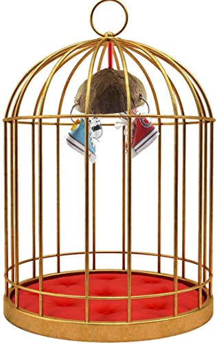 Bird Training Toys Coco Shell with Mini Sneaker Ring Chew Toy, Parrot Cage Hanging Toys for African Grey ,Cockatoo,Macaw