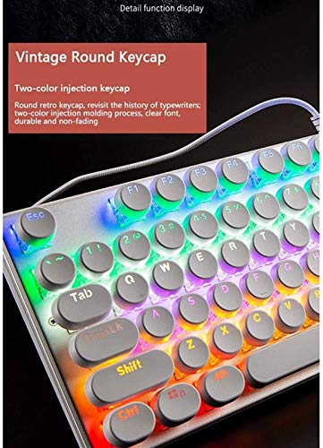 HJJWL Gaming Keyboard and Mouse, Gaming Mechanical Keyboard Blue Red Switch 104key RU/US Wired Keyboard Anti-ghosting RGB/Mix Backlit LED USB for Gamer PC Laptop (Color : White)