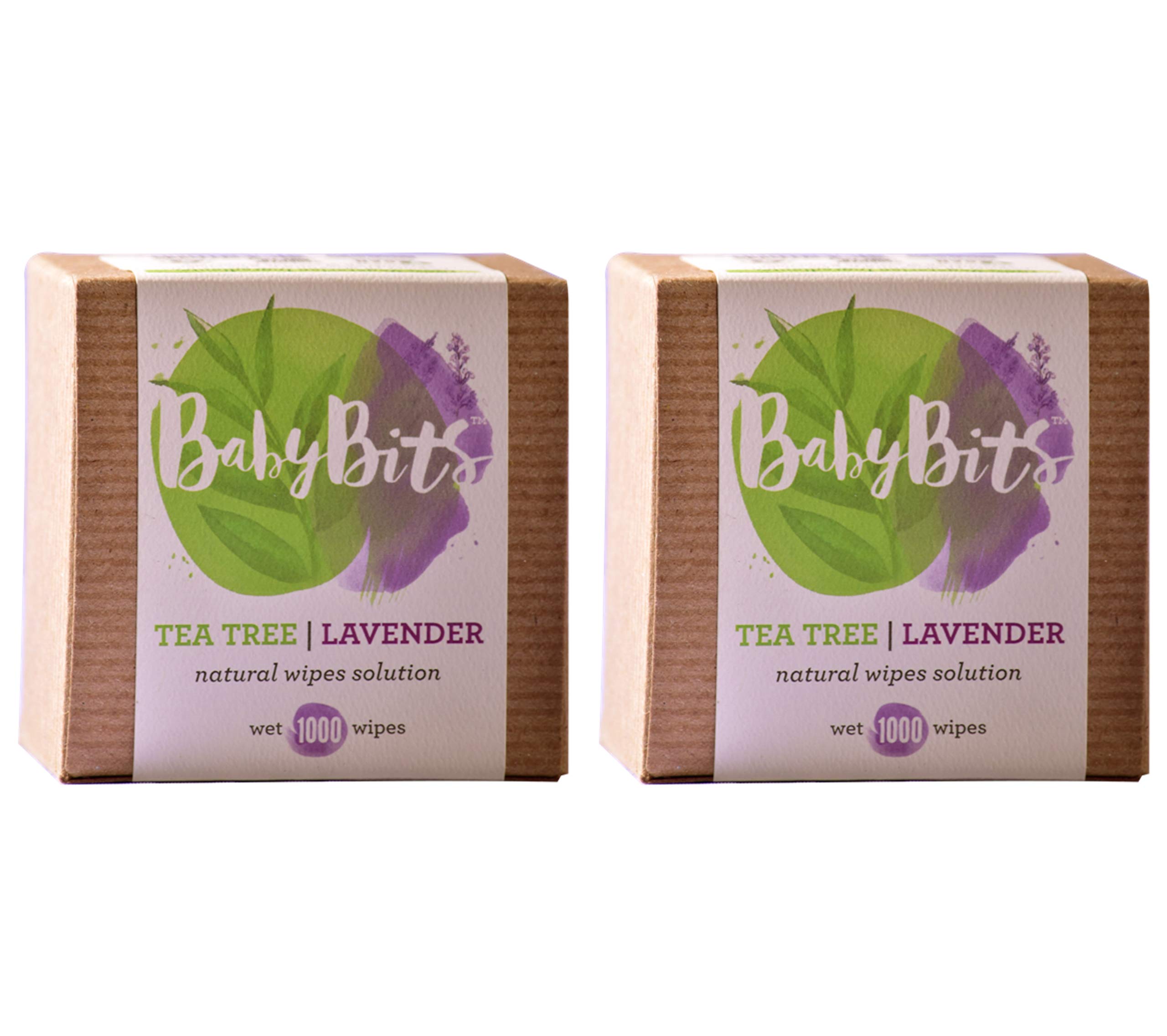 Baby Bits - Plant - Derived Ingredients & Essential Oils - Gentle Baby Wipes for Sensitive Skin - Just Add Water to Make 2000 Wipes for Baby - Perfect for New Moms
