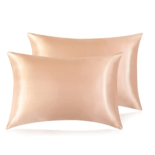 Acrafsman Satin Pillowcases for Hair and Skin King, Microfiber Silk Pillowcases 2 Pack, Shrinkage and Fade Resistant Pillow Covers Set of 2 with Envelope Closure King Size(Champagne, 20x40inches)