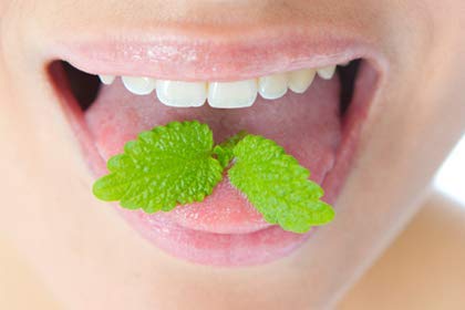 Bielita & Vitex Dentavit Oral Spray Fresh Breath, 15 ml with Clove Bud Extract, Menthol, Witch Hazel Extract, Myrrh Extract, Cinnamon Extract, Peppermint Oil