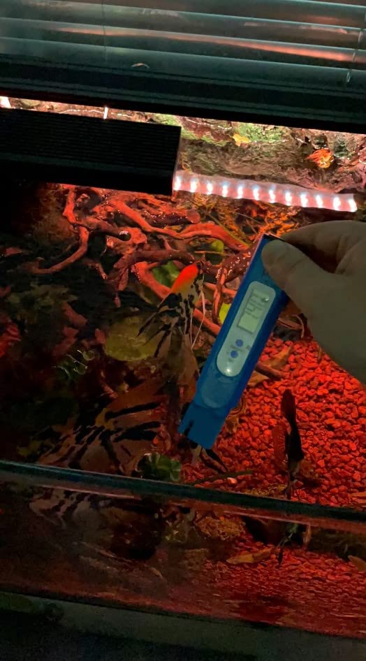 Othmro 1Pcs TDS and EC Tester Handheld Tester 1-9990PPM 1 Resolution Plastic Titanium Alloy Digital Water Tester Accuracy ± 2% for Aquariums Swimming Pools Water Filters White