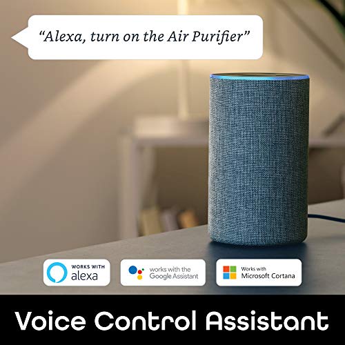 Breathe XL Smart Air Purifier, Grey