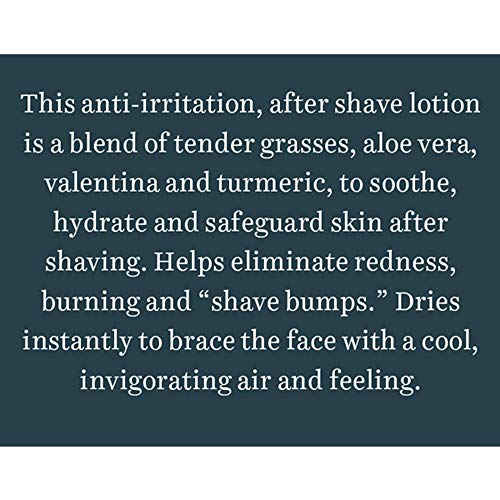 Biotique Bio Wild Grass A Soothing After Shave Gel for Men, 120ml i Eliminates Shave Bumps I 100% Natural & Organic