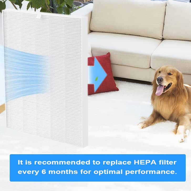 2-Pack C545 True HEPA Replacement Filters，for Winix C545 Replacement Filter and Compatible with Winix 5500-2 Air Purifier Filter Replacement，Replaces 1712-0096-00, 2 H13 Grade True HEPA + 1 Brush