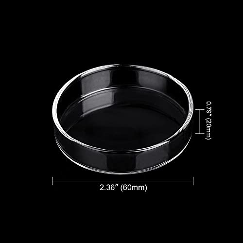 Dannisly Aquarium Glass Feeder Dish Shrimp Feeding Dish Round Clear Glass Fish Feeder Bowl Fish Tank Food Tray Container Prevent Food Spilling, 60mm