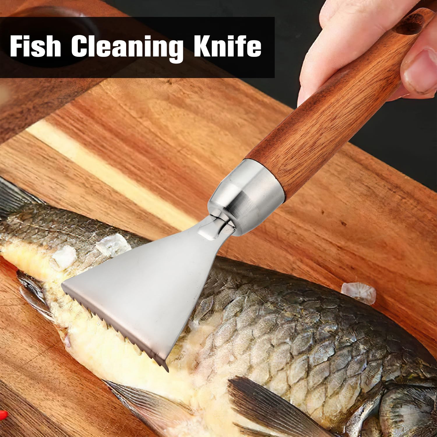 2Pcs Stainless Steel Sharp Durable Fish Scale Remover,304 stainless steel Fish Scale Remover,Portable Cordless Kitchen Fish Scaler Fish for Chef and Home Cooks Fish Cleaning tools(Black+Brown)