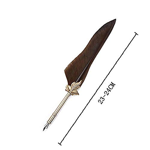 Calligraphy Feather Pen Set- Vintage Writing Feather Quill Pen Ink Set- 5pcs Metal Pen Nib Wedding Gift Set (Compass Box Feather Pen)