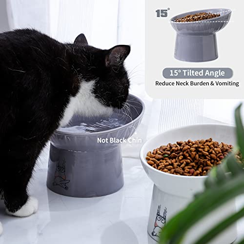 6.5 Inch Extra Wide Ceramic Raised Cat Bowl Set, Tilted Elevated Cat Bowls for Food and Water, Anti Whisker Fatigue, Stress Free, Anti Vomiting, Protect Spine, Lead & Cadmium Free, White & Grey