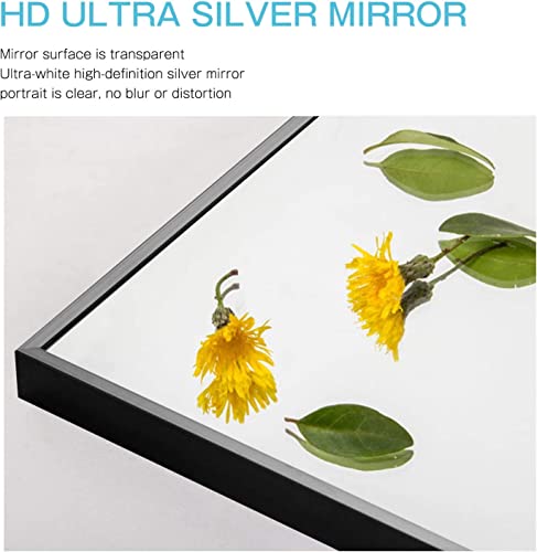 MIRUO Full Length Mirror Decor Wall Mounted / Floor Mirror Dressing Mirror Make Up Mirror Bathroom/Bedroom/Living /Dining Room/Entry, Black, 47" x 22"