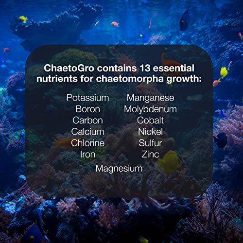 Brightwell Aquatics Chaeto GRO - Multi-Nutrient Supplement for Chaetomorpha Growth in All Marine Aquariums, 250 ML