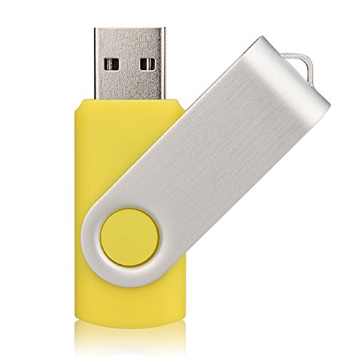 Aiibe 5pcs 8GB USB Flash Drive Pendrives 8 GB Bulk USB 2.0 Thumb Drives Multicolor USB Memory Stick Jump Drive Zip Drives (8G, 5 Pack, 5 Colors : Black Red Yellow White Purple)