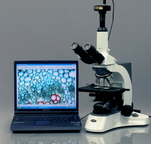 AmScope MU500-CK 5.0 MP USB Microscope Camera with Software and Calibration Kit, Compatible with Windows XP/Vista/7/8/10 and Mac OSX