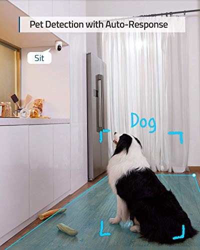 Eufy Security 1080P E210 Indoor Cam, Plug-in Security Indoor Camera with Wi-Fi, Human & Pet AI, Voice Assistant Compatibility, Motion Tracking, HomeBase Not Required. (Renewed)