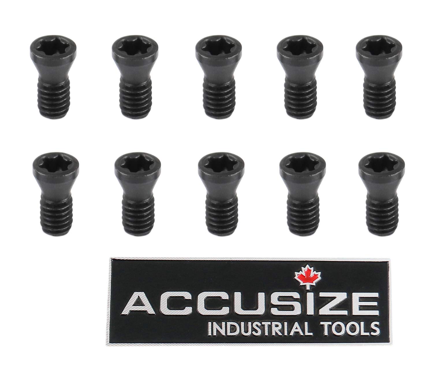 Accusize Industrial Tools M2.5 by 6 Replacement Screws for Indexable Face Mill and End Mills, 10 Pc, 0046-0910x10