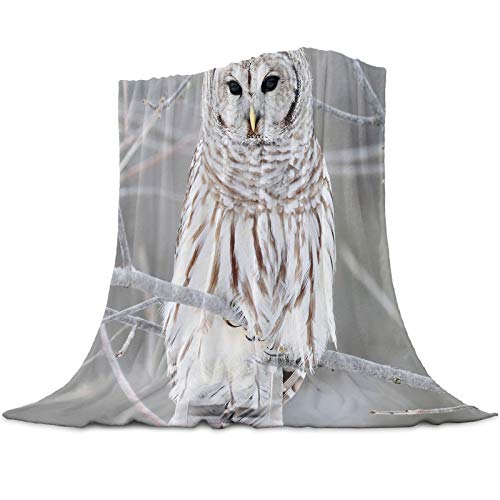 Greeeen Plush Fleece Throw Blanket | Fuzzy, Soft, Warm, Cozy, Reversible Blanket for Bed Couch Sofa Chair Travel- 49" x 59" Winter Owl