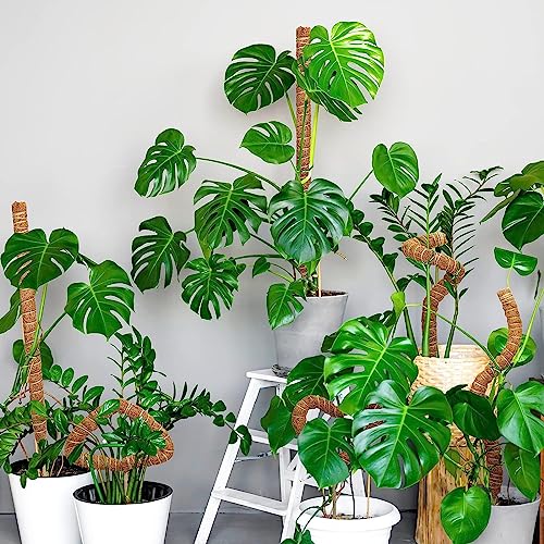 47 Inch Moss Pole for Plants Monstera, Moss for Potted Plants Bendable Plant Stakes for Indoor Plants, Handmade Coco Coir Monstera Plant Support for Plants Grow Upwards