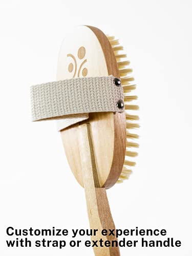 Vegan Dry Brush for Cellulite and Lymphatic Drainage Massage, Natural Firm and Soft Brushes, Cactus Bristles, Dry Skin for Face and Body Set for Brushing, Scrub with Handle