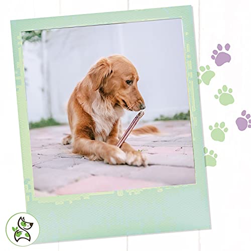 Nature Gnaws Bully Sticks for Dogs - Premium Natural Beef Dental Bones - Long Lasting Dog Chew Treats for Aggressive Chewers - Rawhide Free - Mixed Thickness 8 Ounce (Pack of 1)