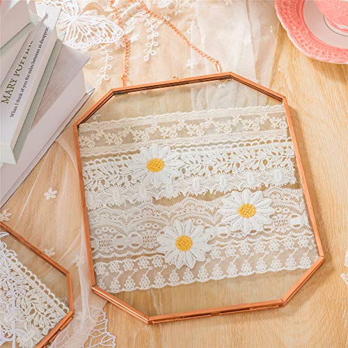 NCYP Wall Hanging 8X10 inches Long Octagon Herbarium Rose Gold Copper Glass Frame for Pressed Flowers, Dried Flowers, Poster, Double Glass, Floating Frame Style, Glass Frame Only