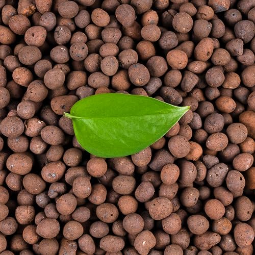 5LB LECA for Plants, 4-16mm Small Expanded Clay Pebbles for Hydroponic Growing, Organic Lecca Balls for Indoor Pots Drainage, Aquaponics, Come with Gloves