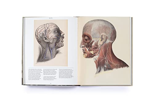 Anatomica: The Exquisite and Unsettling Art of Human Anatomy