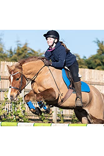 Equilibrium New Tri-Zone All Sports Tendon Boot X Large Royal Blue