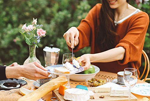 Cheese Knife Set, Esup Premium 6-Piece Stainless Steel Cheese knives Set with Gift Box for Weddings, Housewarming, Anniversaries, Birthday and Christmas