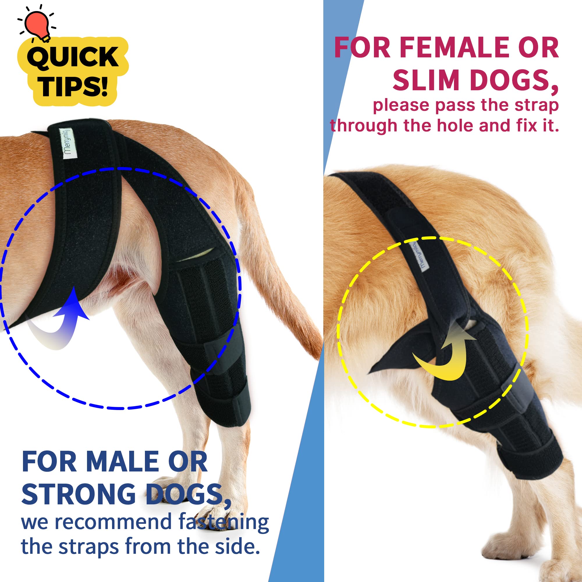 MerryMilo Dog Knee Brace for Torn acl hind Leg, (Size: S), Silver