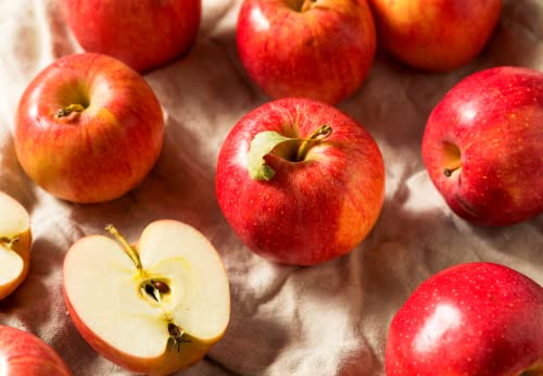 5 Gala Apple Tree Seeds, Sweet Apple Fruit Bush Seeds Ornament Perennial Garden Plating
