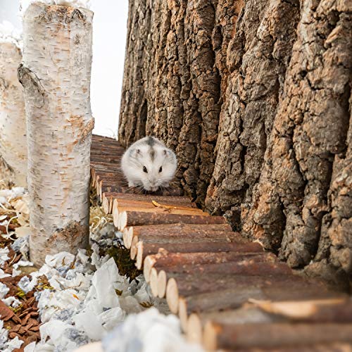 Niteangel Hamster Suspension Bridge Toy - Long Climbing Wooden Ladder for Hamsters Mice Mouse Gerbils Sugar Glider Rat and Other Small Animals (25.6L x 2.8W)