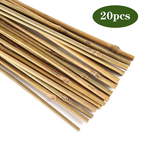 Pllieay 20PC 1.33'/16 Inch Natural Thick Bamboo Stakes Garden Stakes Bamboo Sticks Plant Stakes for Outdoor Plants and Indoor Plants, Potted Plants Tomato Plant Support