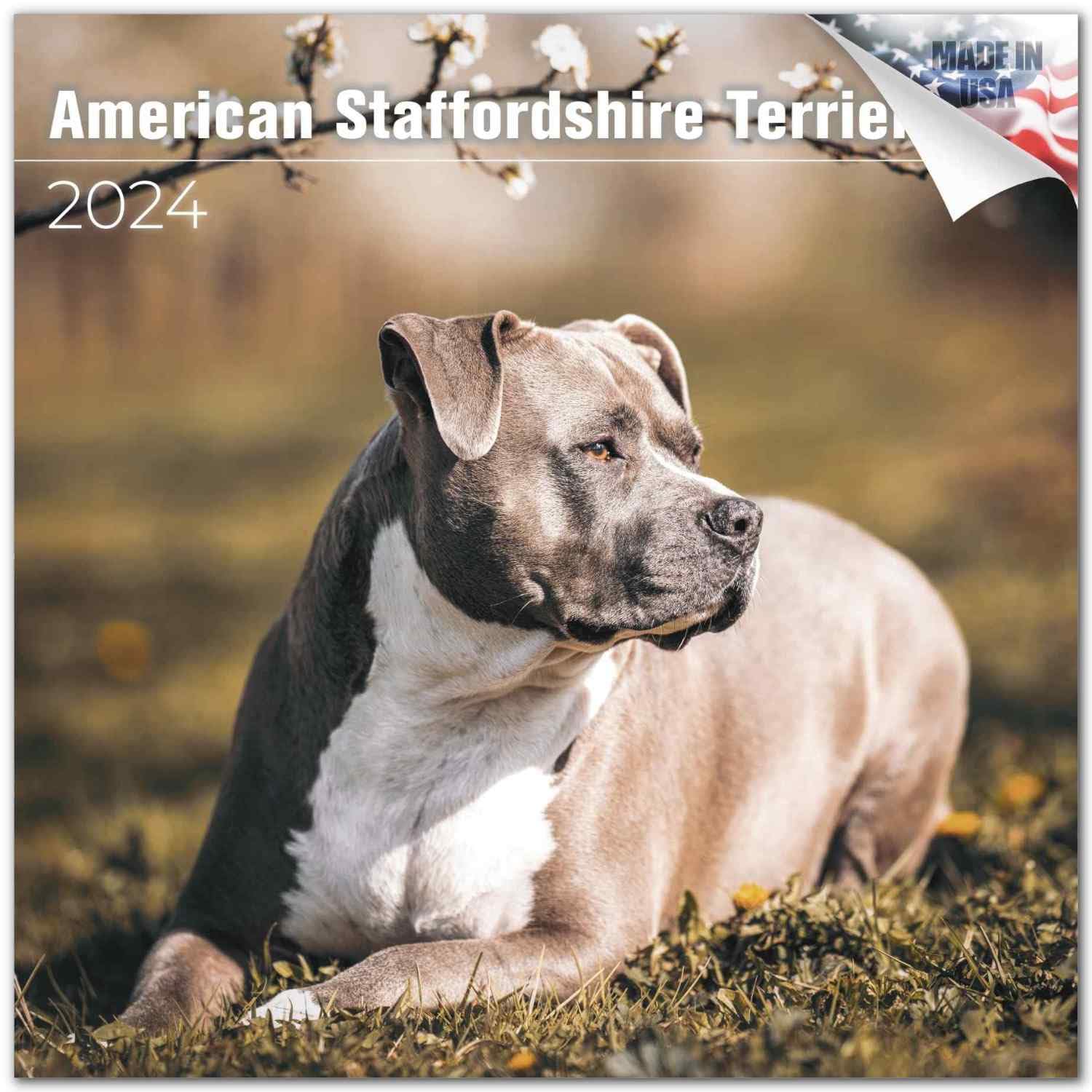 2023 2024 American Staffordshire Terrier Calendar - Dog Breed Monthly Wall Calendar - 12 x 24 Open - Thick No-Bleed Paper - Giftable - Academic Teacher's Planner Calendar Organizing & Planning