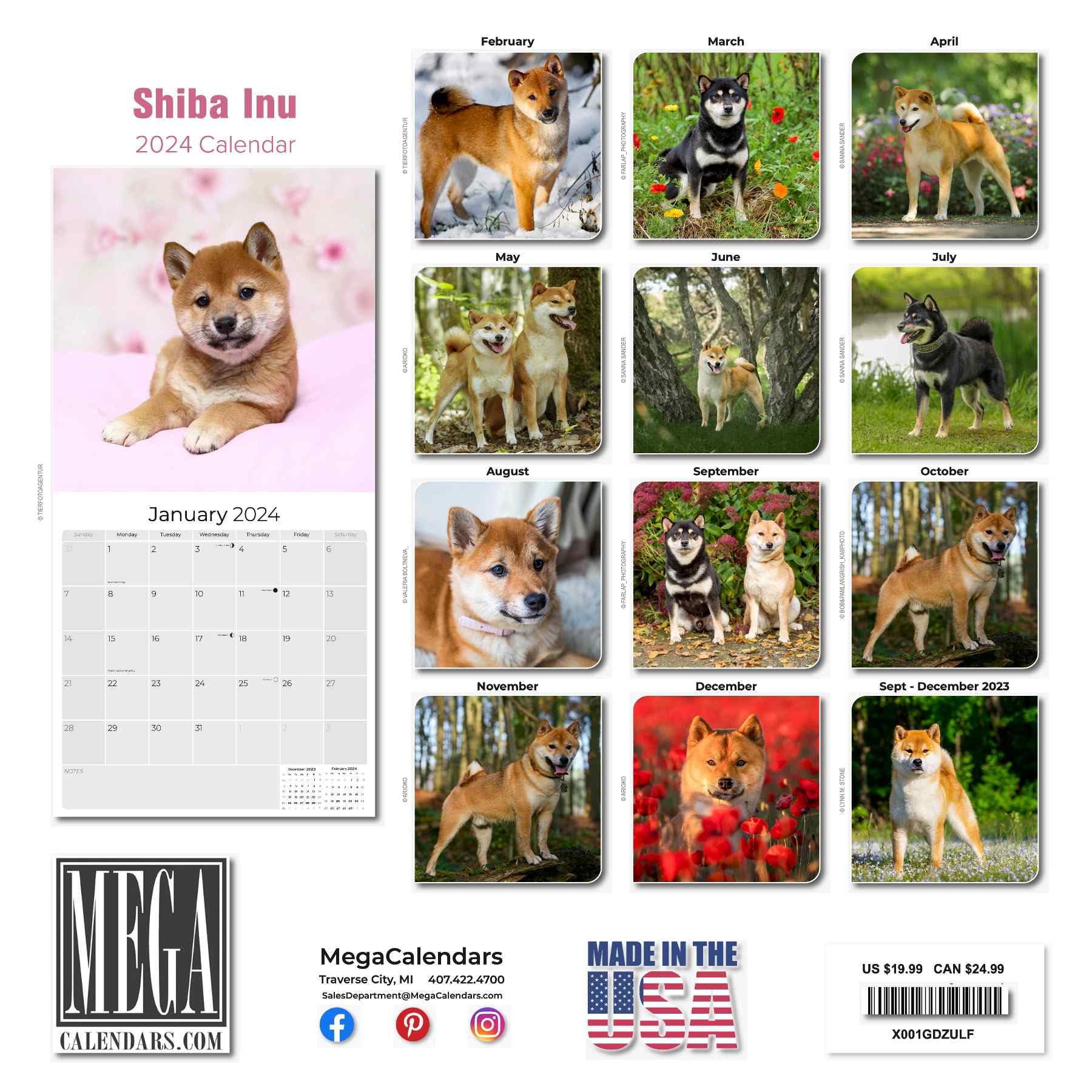 2023 2024 Shih Tzu Calendar - Dog Breed Monthly Wall Calendar - 12 x 24 Open - Thick No-Bleed Paper - Giftable - Academic Teacher's Planner Calendar Organizing & Planning - Made in USA