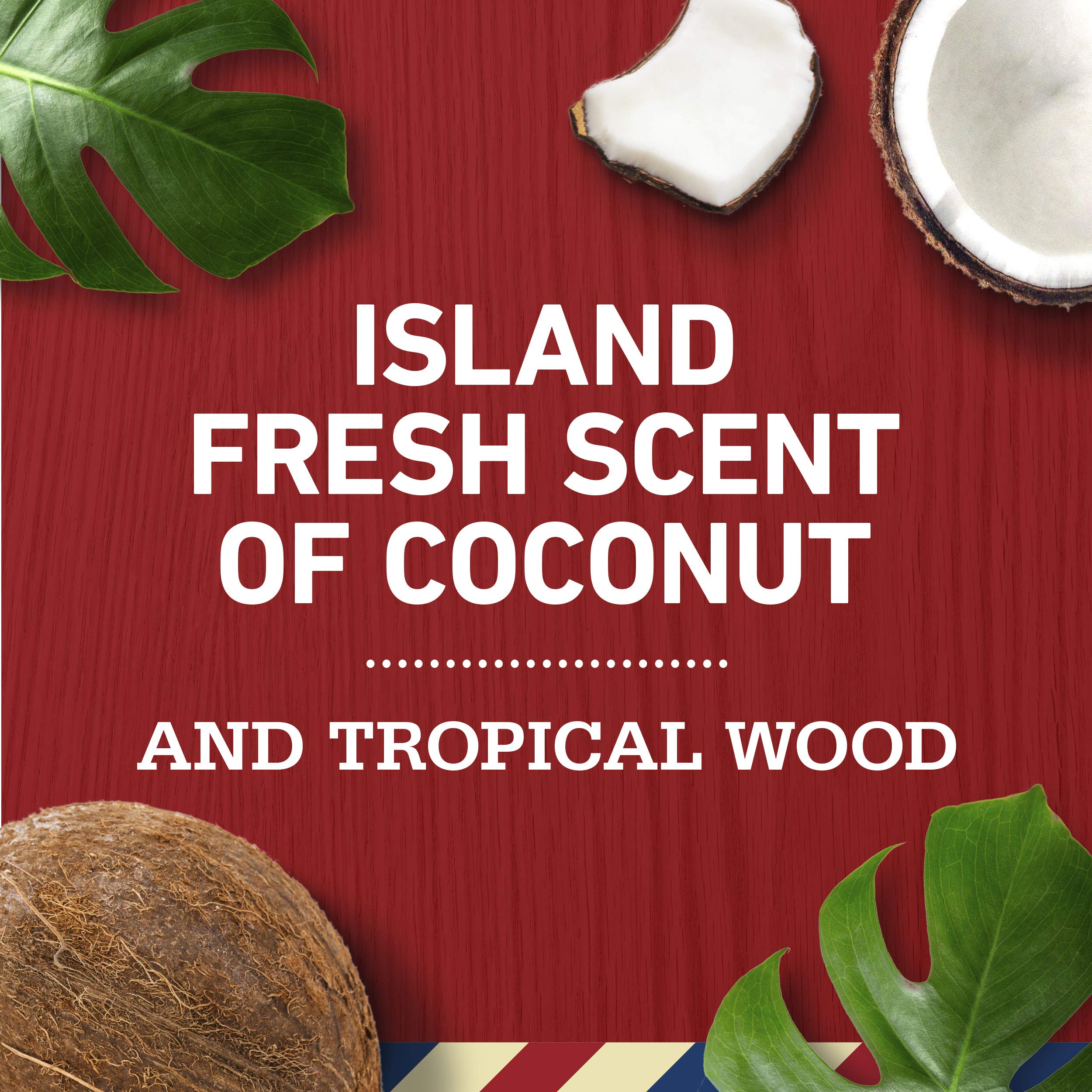 Old Spice Fiji 2in1 Shampoo and Conditioner for Men, 13.5 fl oz, 5.449 Fl oz