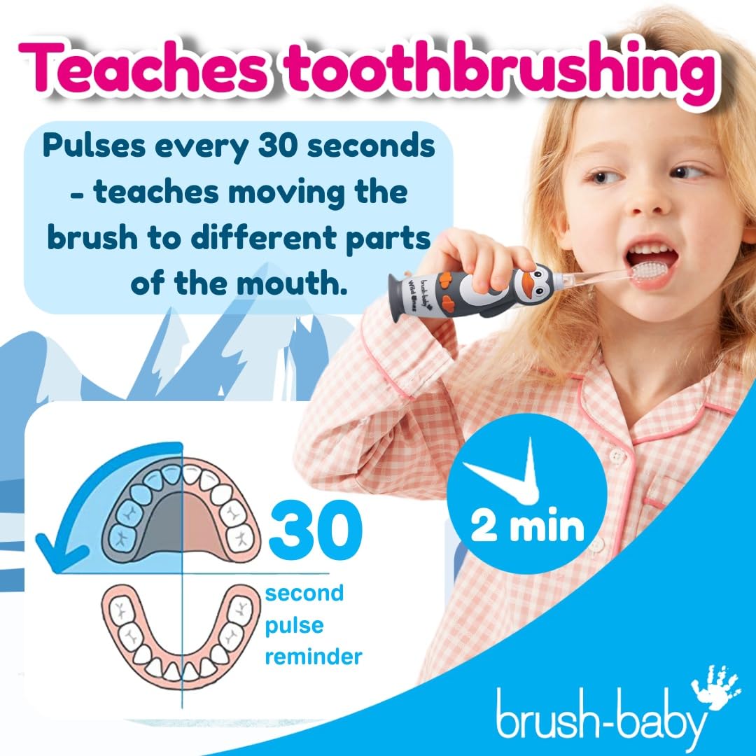 brush-baby WildOnes Kids Electric Rechargeable Toothbrush Penguin, 1 Handle, 3 Brush Heads, USB Charging Cable, for Ages 0-10 (Penguin)