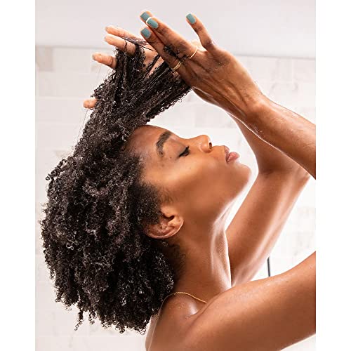 Carol's Daughter Wash Day Delight Sulfate Free Clarifying Shampoo and Deep Conditioner Gift Set with Aloe and Micellar - Best for Curly, Natural, and Textured Hair – Detangle and Moisturize