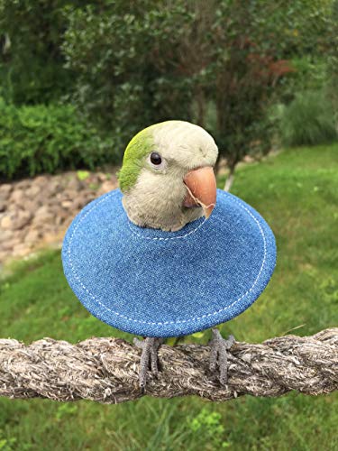 HEZHUO Adjustable Parrot Cone Collar, Safe and Practical Cotton Collar to Prevent Bites and Licking Wounds, to Help heal (XS)
