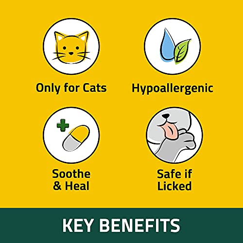 Breezytail PetO’Cera Itchy Skin Relief Treatment Cream for Cats - Paw Lotion Soothing Balm | Cat Skin Ointment & Dermatitis Solution for Normal Dry Irritated and Sensitive Skin | 1.35oz