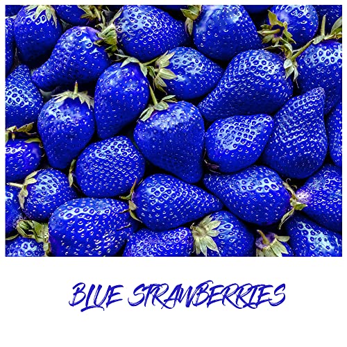 400+ Mix Strawberry Seeds for Planting Red Yellow Blue White Climbing Strawberry Heirloom Everbearing Fruit Sweet and Delicious