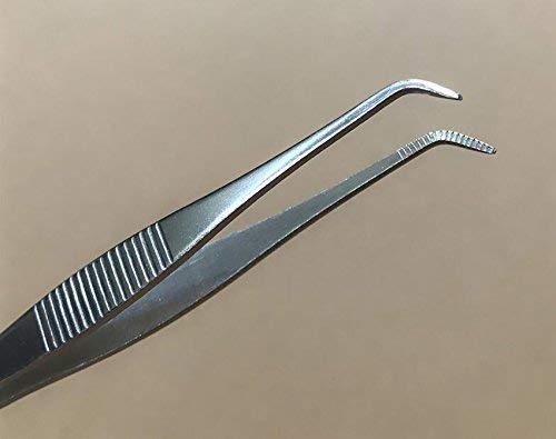 2 PCS 4 Inch Professional Stainless Steel Dental Straight Forceps and Curved Tip Tweezers Multifunction Eyebrow Cosmetic Tools DIY Accessories Extractor Clamp