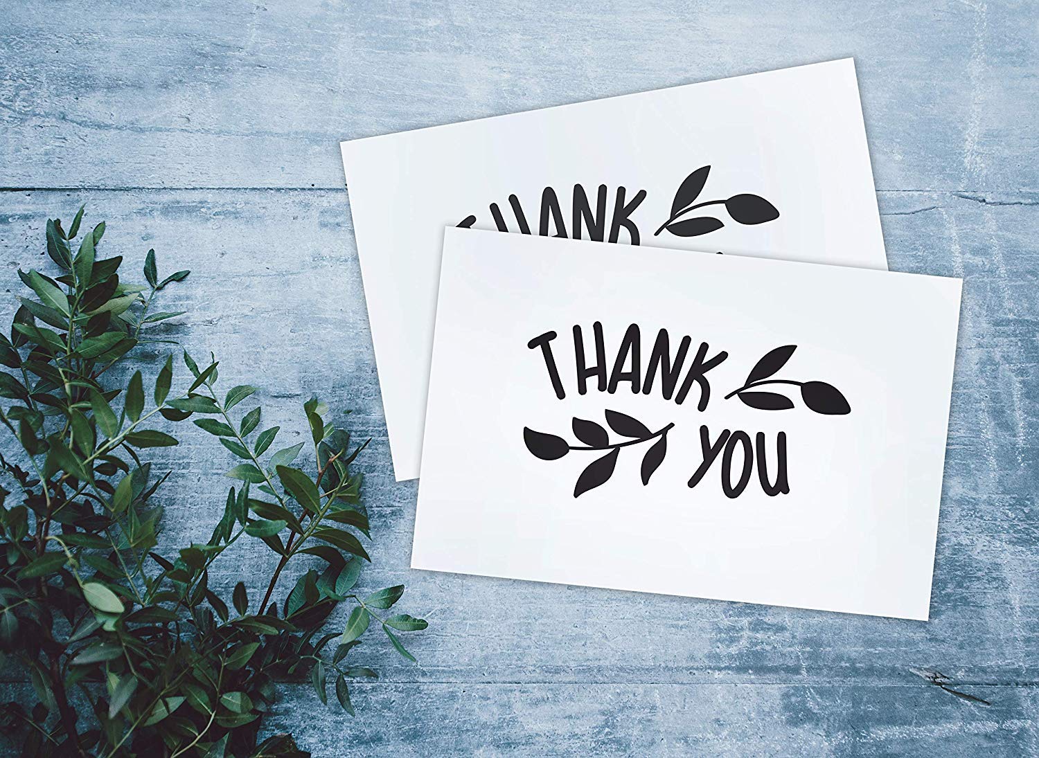 Cavepop 36 Pack Card Box Assorted Thank You Cards with Envelopes, Black and White Handwritten Blank Cards for a Greeting, Notes, Gifts with Envelopes for Wedding, Baby and Bridal Shower