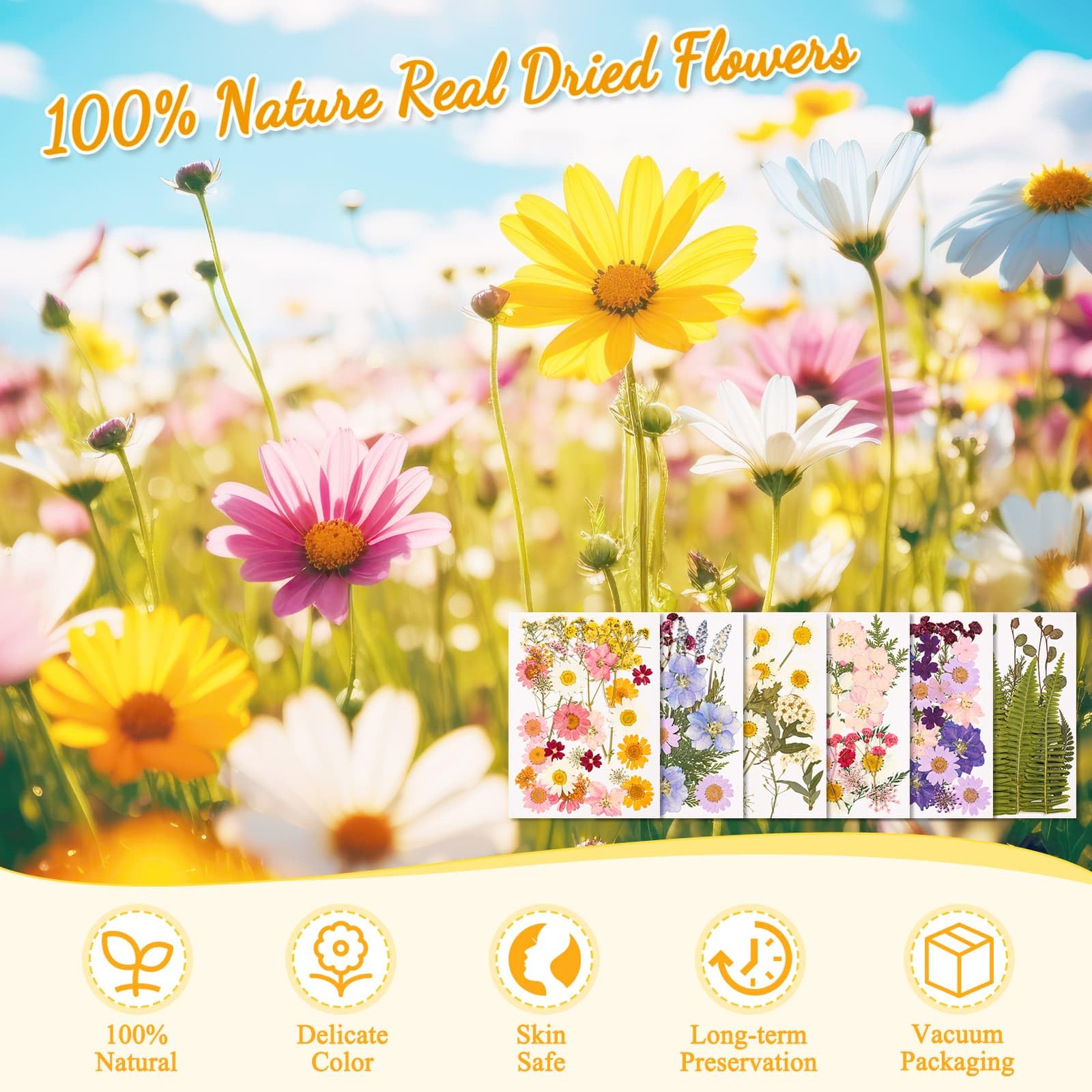 6 Sheets Dried Pressed Flowers for Crafts, Real Dried Florals and Leaves for Scrapbooking Resin Jewelry Molds Candle Soap Making Nail Art Makeup