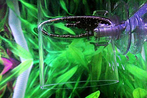 DGZZI Fish Feeder Acrylic Aquarium Fish Tank Adjustable Circle Ring Fish Feeding Floating Food Dish Food Protection Cover Tray Feeder