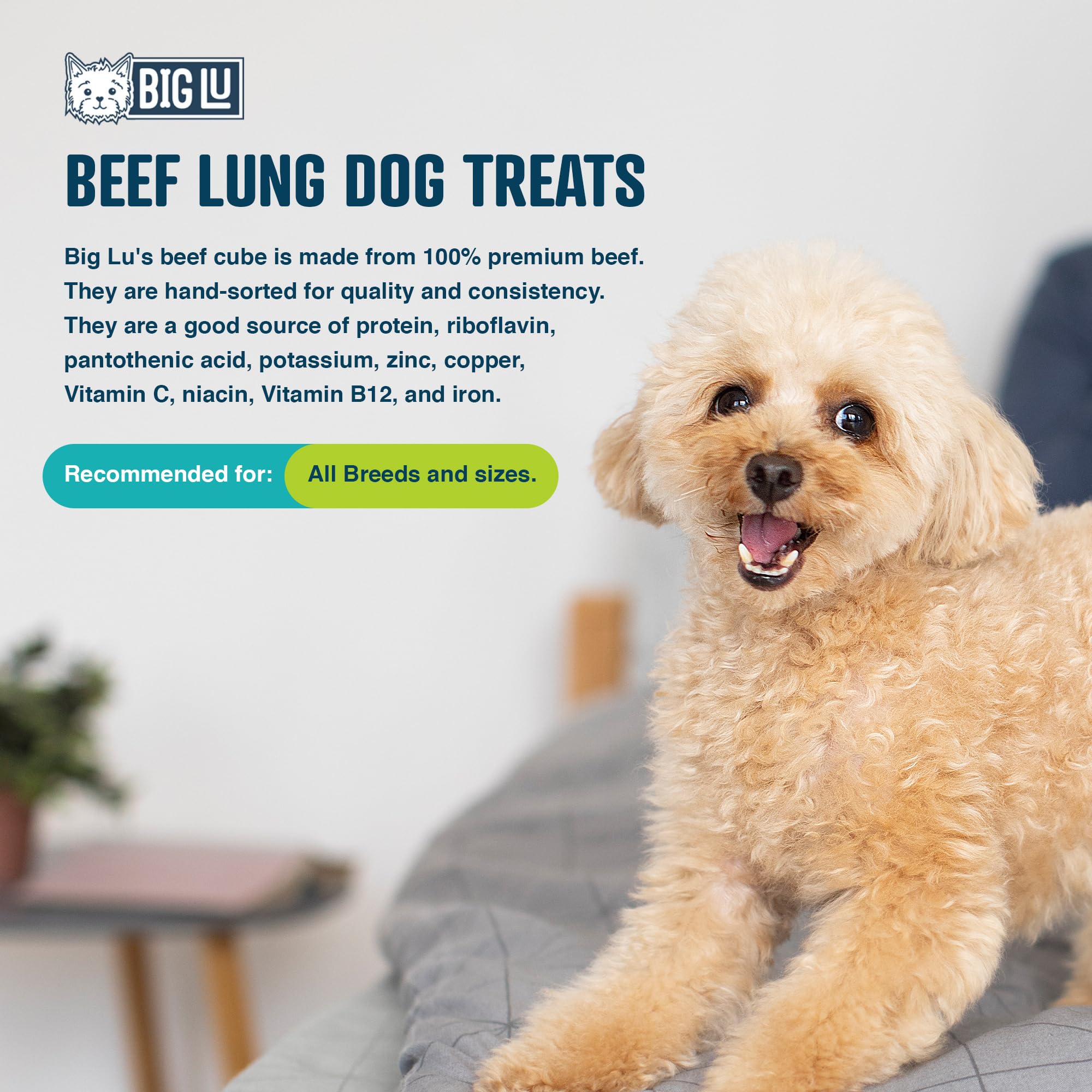 Big Lu - Beef Lung Dog Treats, Premium 100% Beef, All-Natural Dog Chews, Rich in Glucosamine and Chondroitin for Joint Health, Bite-Sized Chunks (12 Ounce)